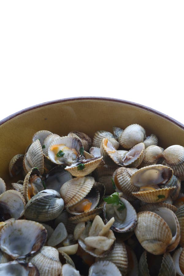 Fresh Cockles As Seafood Aperitive Stock Image - Image of coast, brown ...