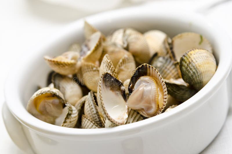 Cockles (berberechos) stock image. Image of aquatic, edible - 28351673
