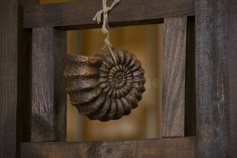 Cockleshell stock photo. Image of cockleshell, element - 27615088