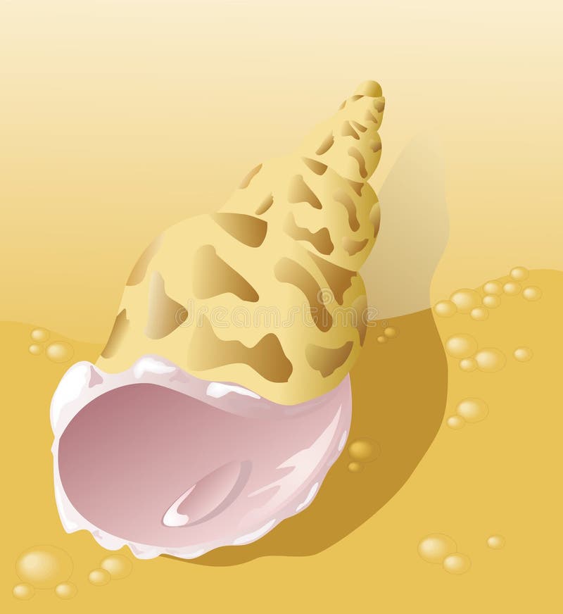 Cockleshell Stock Illustrations – 12,962 Cockleshell Stock ...