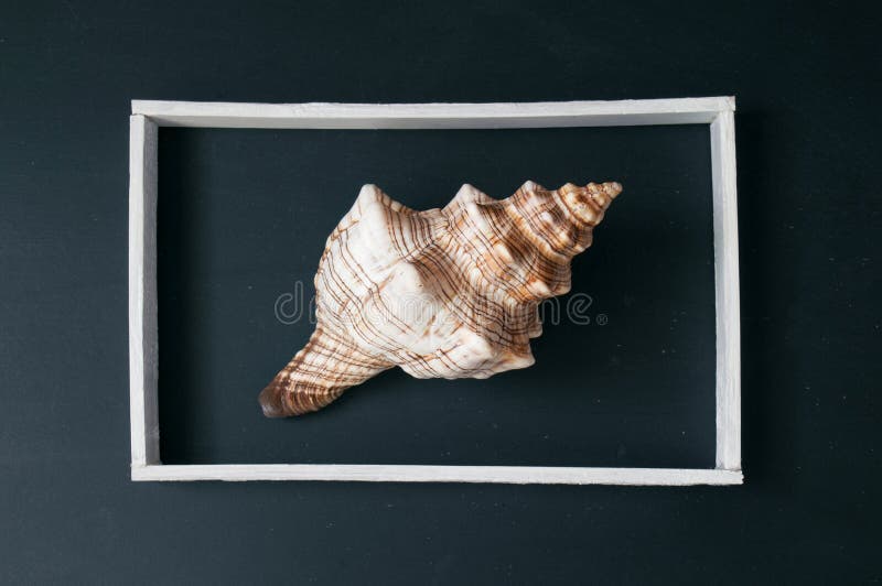 Bikinid60 - Photographer profile