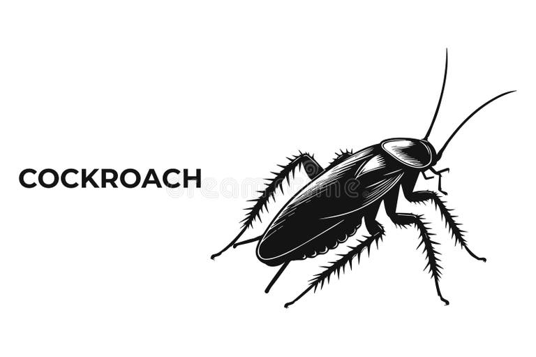 Cockroach Sketch Stock Illustrations – 966 Cockroach Sketch Stock ...