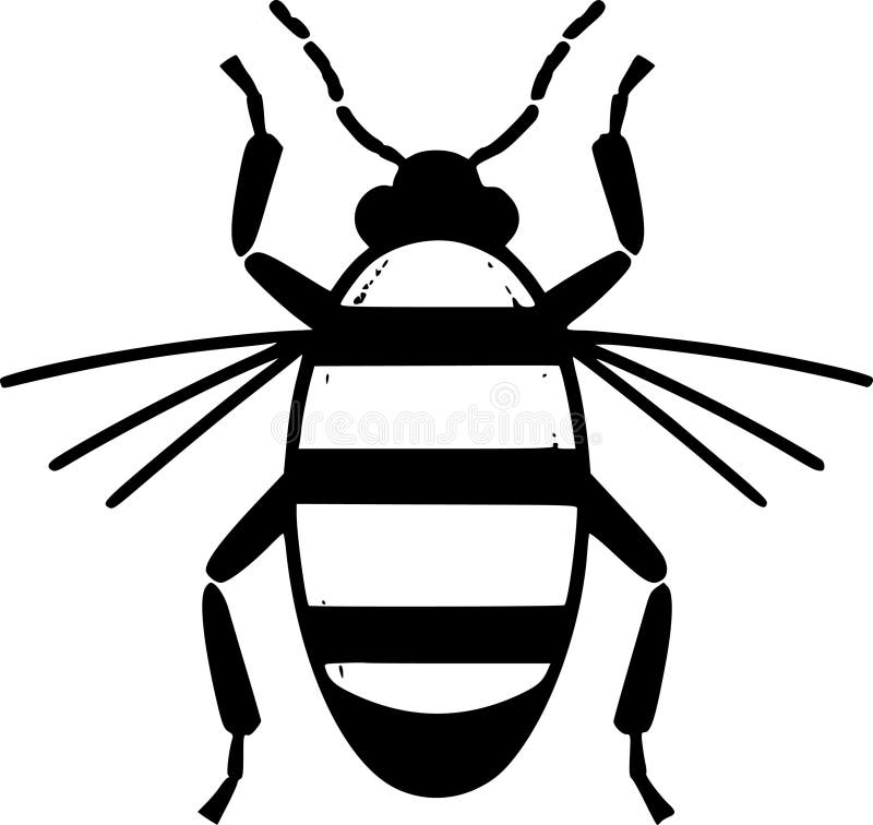 Cockroach - Black and White Vector Illustration Stock Illustration ...