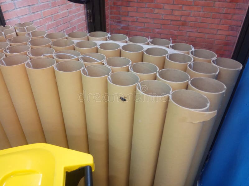 Cockroach stock photo. Image of trash, cardboard, cockroach - 120159654