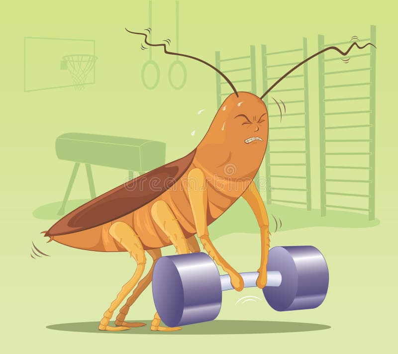 Cockroach with dumbbell stock vector. Illustration of dumbbells - 7456533