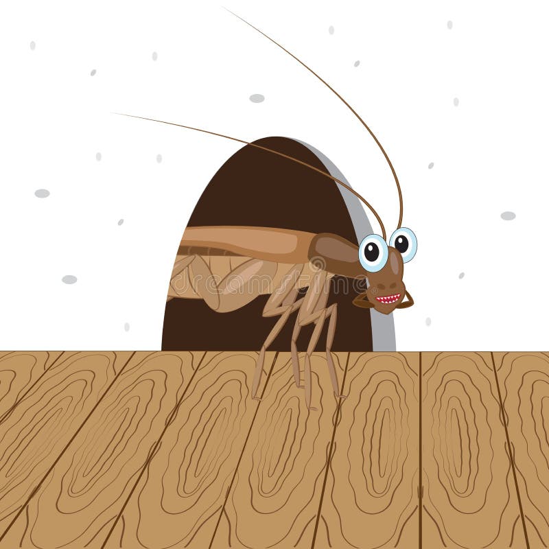 Roach Peeking Stock Illustrations – 4 Roach Peeking Stock Illustrations ...