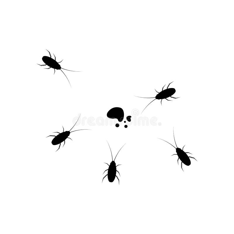 Cockroach Icon Template Vector Stock Vector - Illustration of cockroach ...