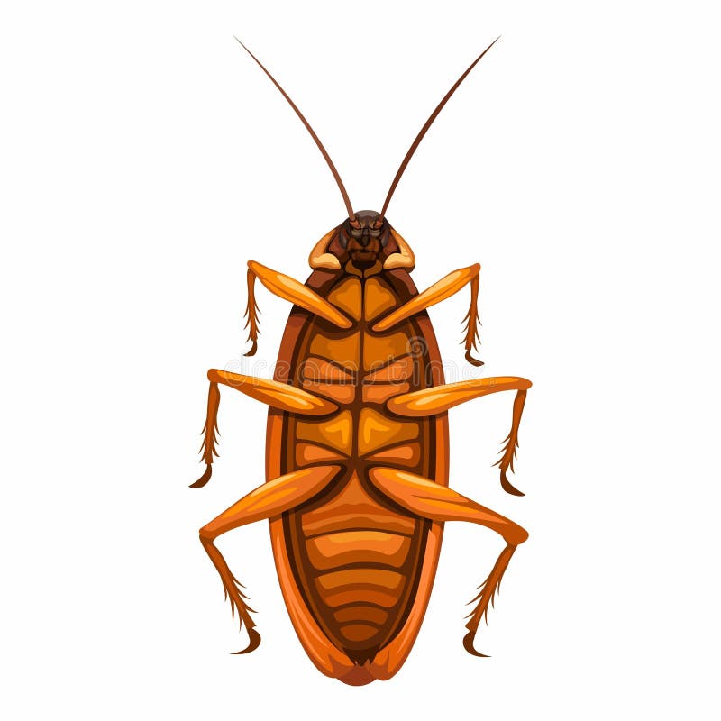 Cockroach Insect Upside Down Cartoon Illustration Vector Stock Vector ...