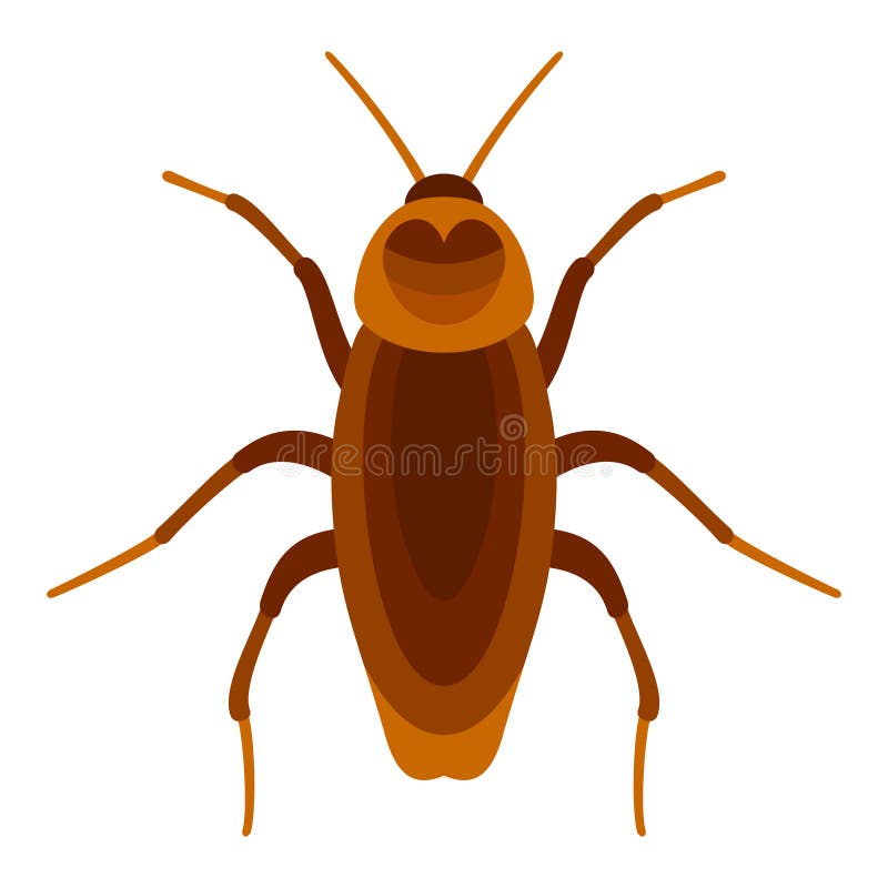 Cockroach Insect on White Background Flat Style Vector Illustration ...