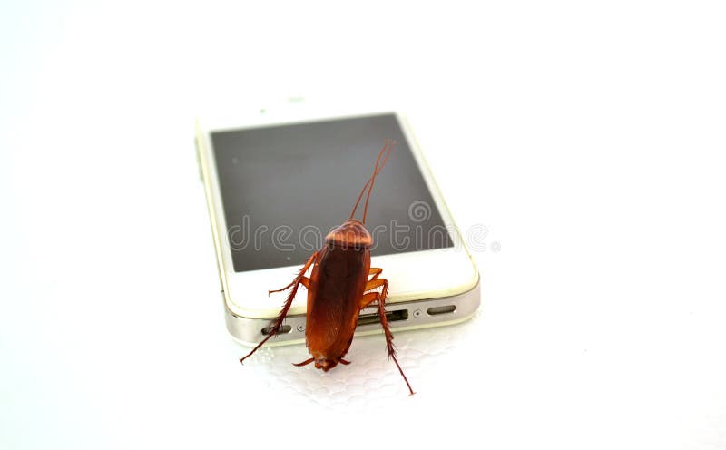 Cockroach like technology stock photo. Image of lying - 60100942