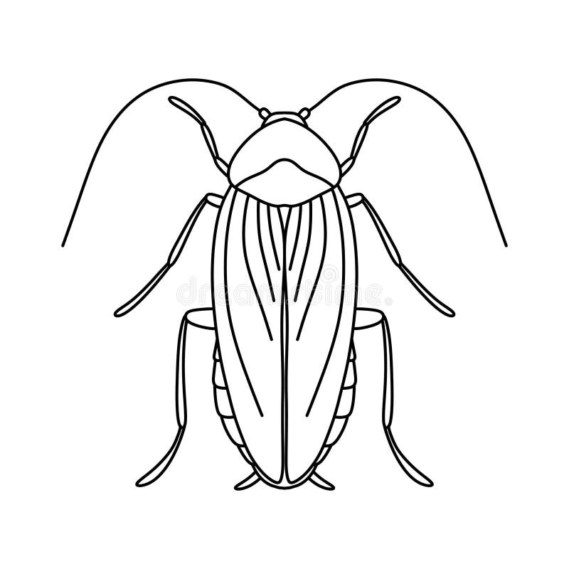 Cockroach Line Icon Vector Illustration Isolated on White Background ...
