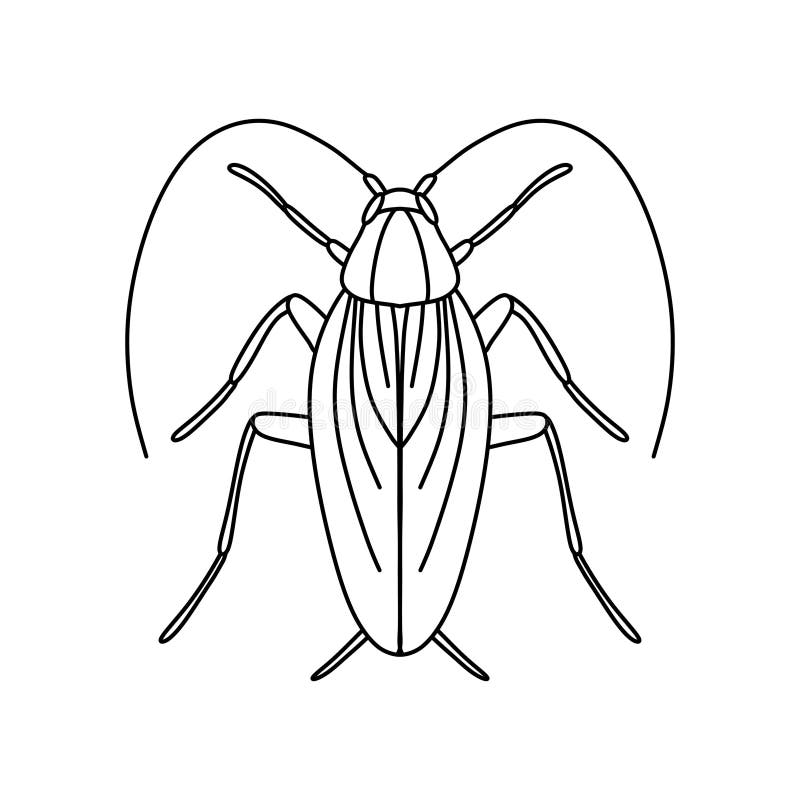 Cockroach Line Stock Illustrations – 3,418 Cockroach Line Stock ...