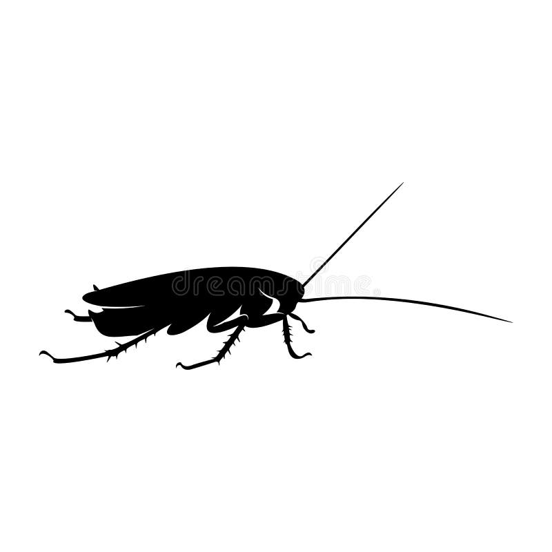 Cockroach Logo Design Vector Illustration. Cockroach Design Template ...