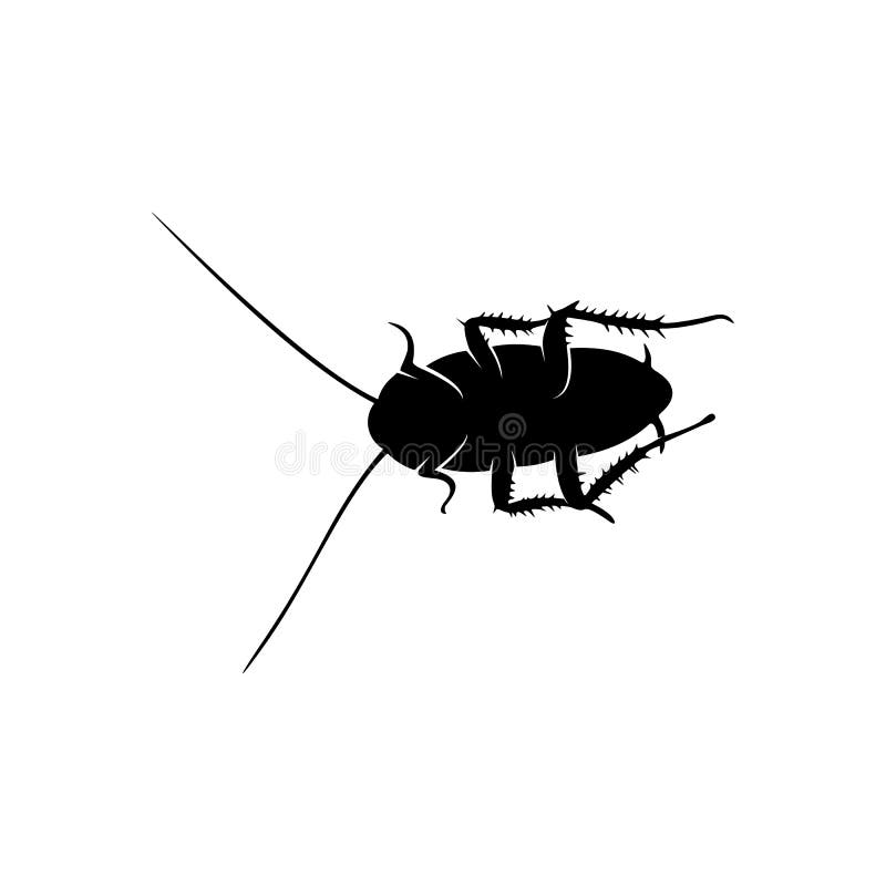 Cockroach Logo Design Vector Illustration. Cockroach Design Template ...