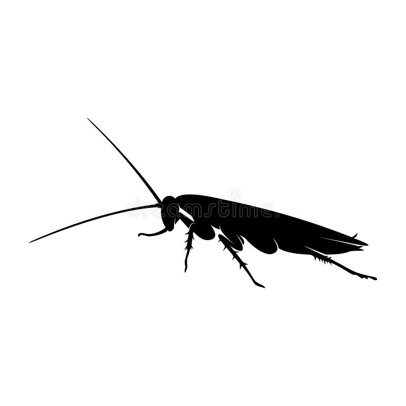 Cockroach Logo Design Vector Illustration. Cockroach Design Template ...