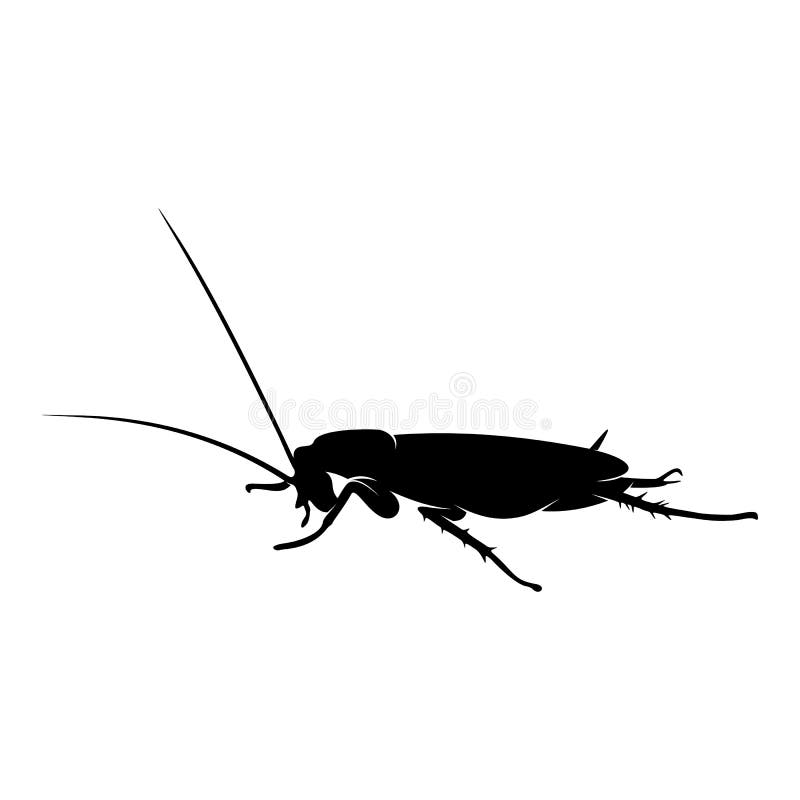 Cockroach Logo Design Vector Illustration. Cockroach Design Template ...