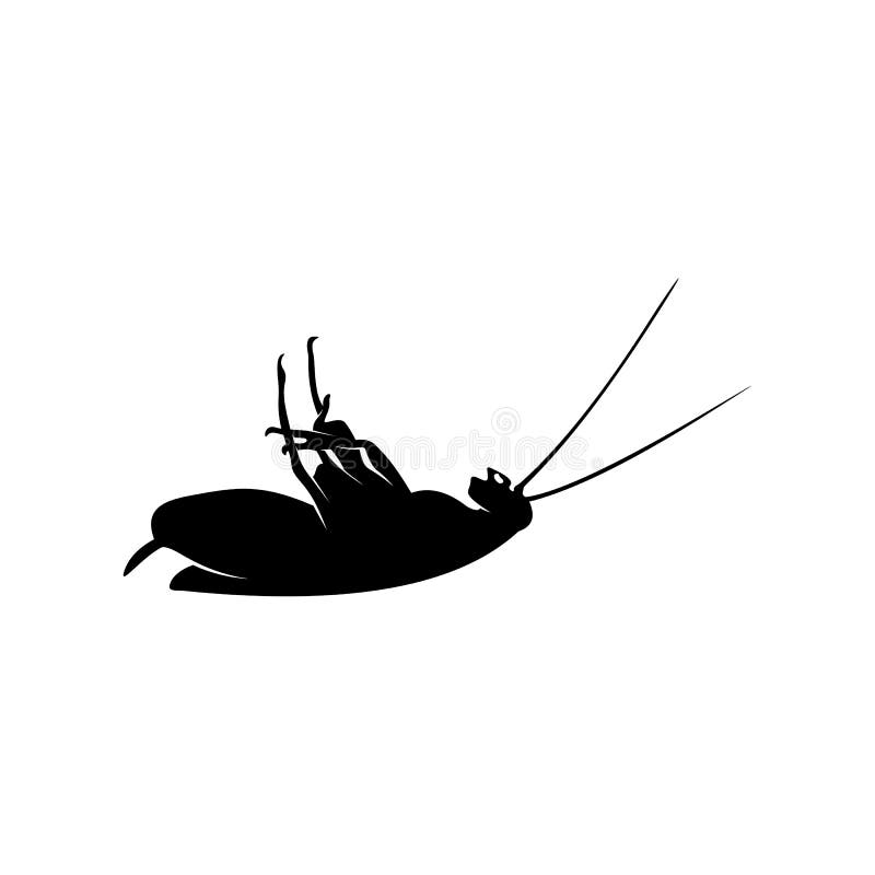 Cockroach Logo Design Vector Illustration. Cockroach Design Template ...