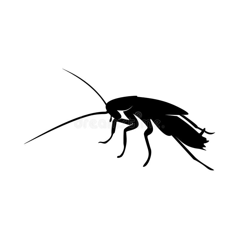 Cockroach Logo Design Vector Illustration. Cockroach Design Template ...