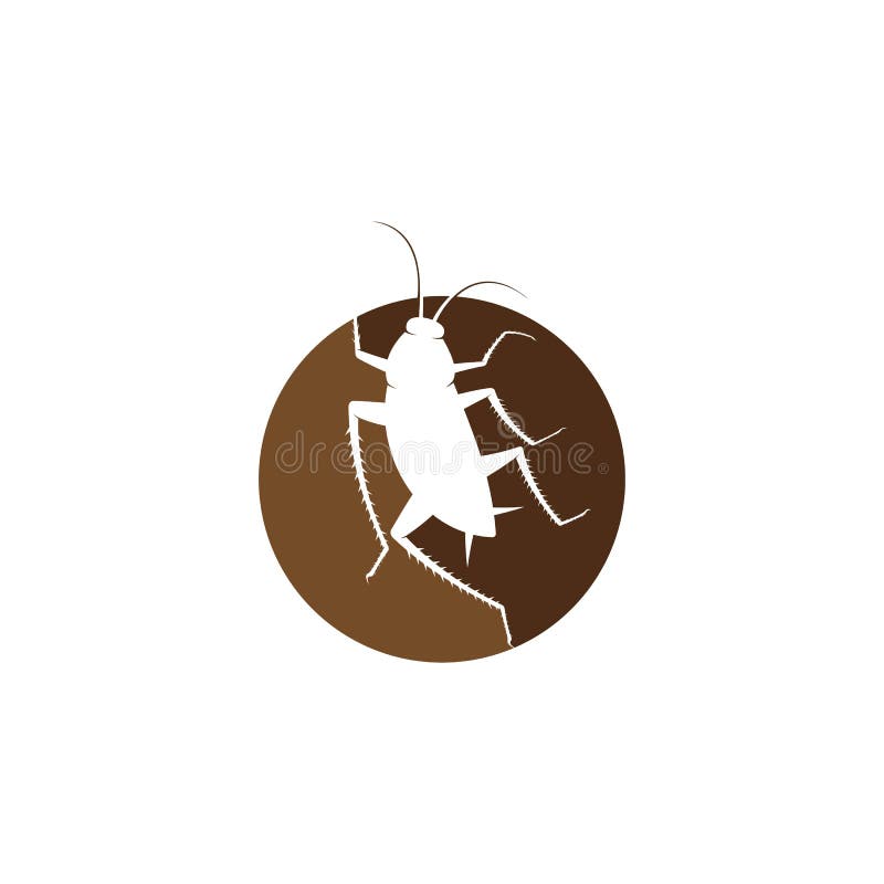 Cockroach Logo Design Vector Illustration. Cockroach Design Template ...