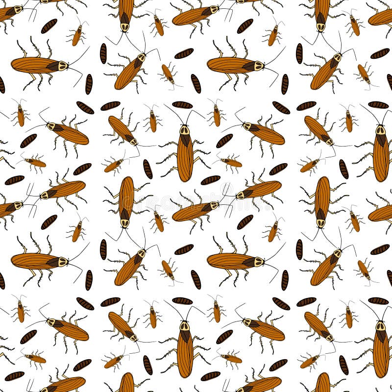 Cockroach Seamless Vector Wallpaper Stock Illustrations – 348 Cockroach ...
