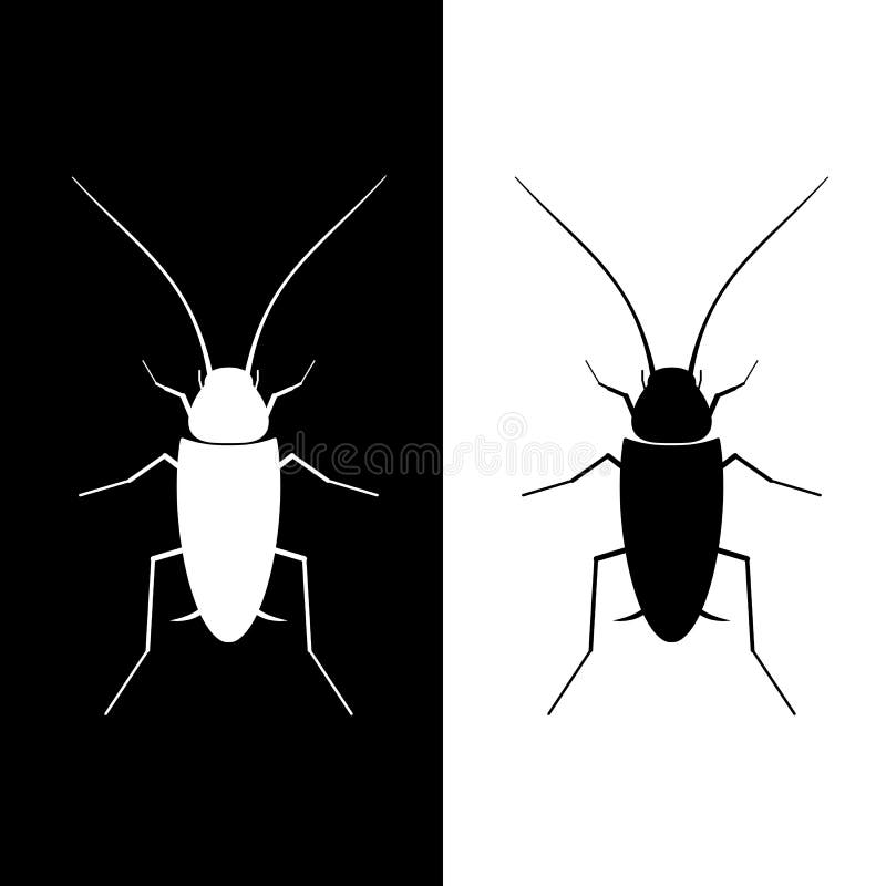 A Cockroach in Shadow with a Black or White Background Stock Vector ...