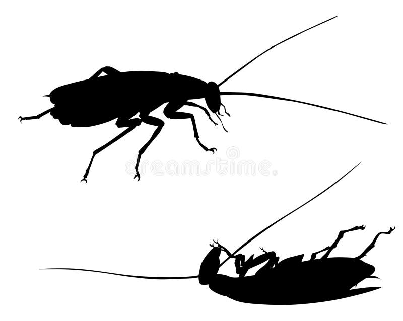 Cockroach Stock Illustrations – 15,689 Cockroach Stock Illustrations ...