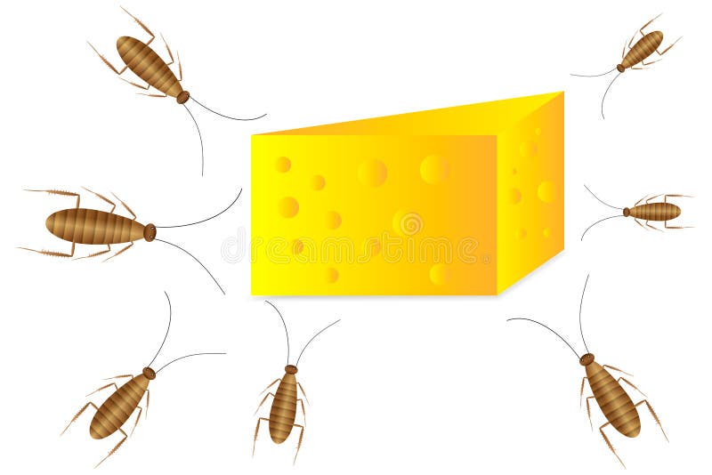 Cheese Insect Stock Illustrations – 202 Cheese Insect Stock ...