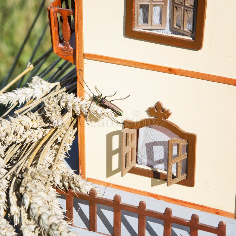 Cockroaches in the House. Concept Stock Photo - Image of icon, grass ...