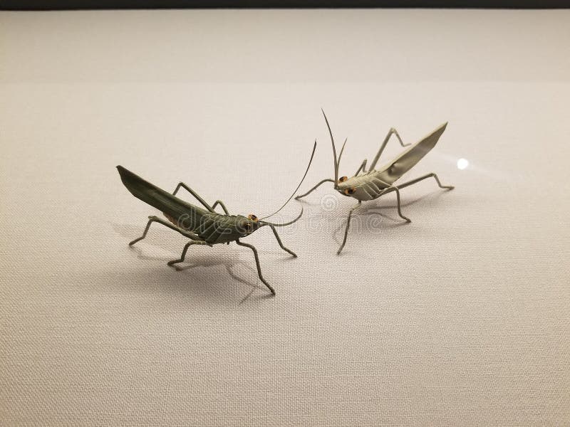 Cockroaches Statues Stock Photos - Free & Royalty-Free Stock Photos ...