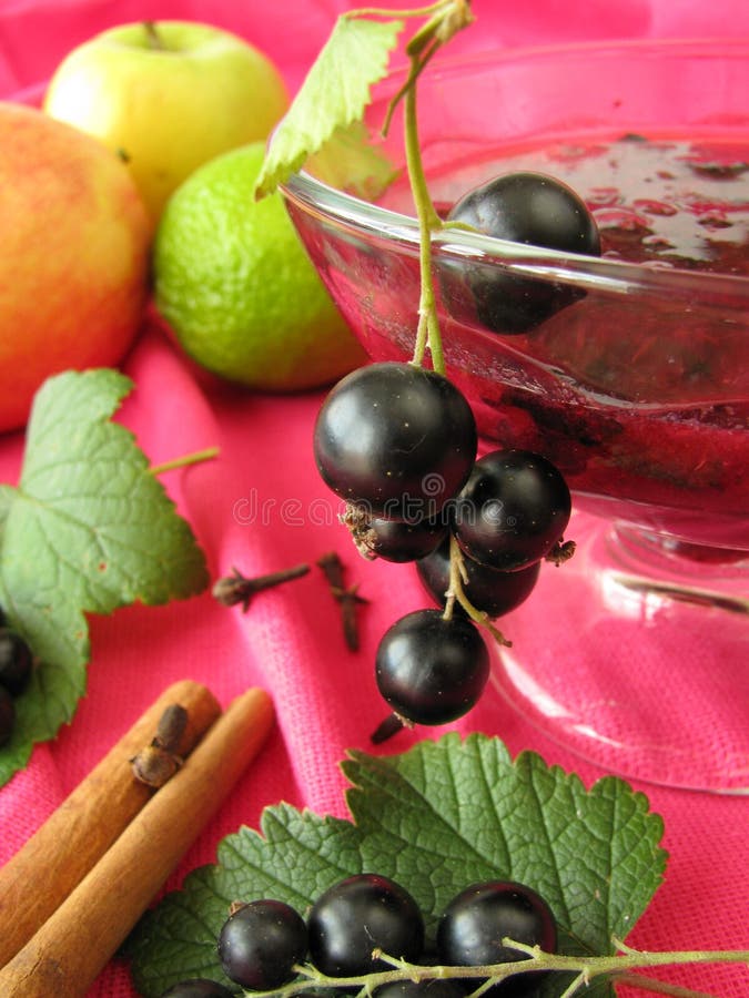 Cocktail with Black Currants and Other Fruits Stock Image - Image of ...
