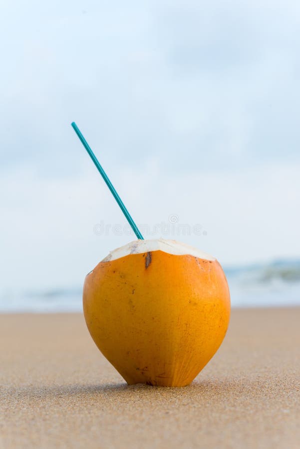 Cocktail in Coconut with Straw Standing Stock Image - Image of natural ...