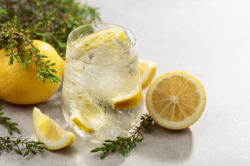 Cocktail Gin-tonic with Ice, Lemon, and Juniper Branches Stock Photo ...