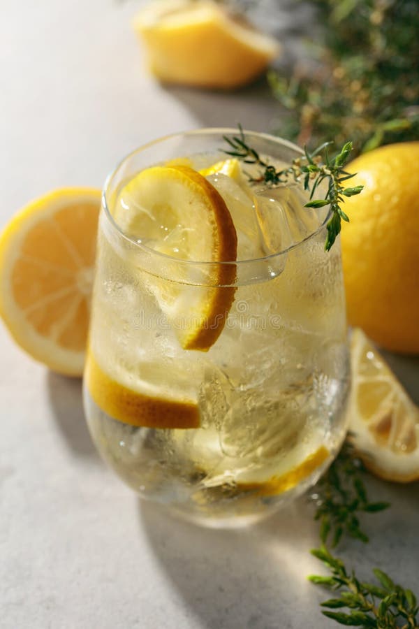 Cocktail Gin-tonic with Ice, Lemon, and Juniper Branches Stock Photo ...