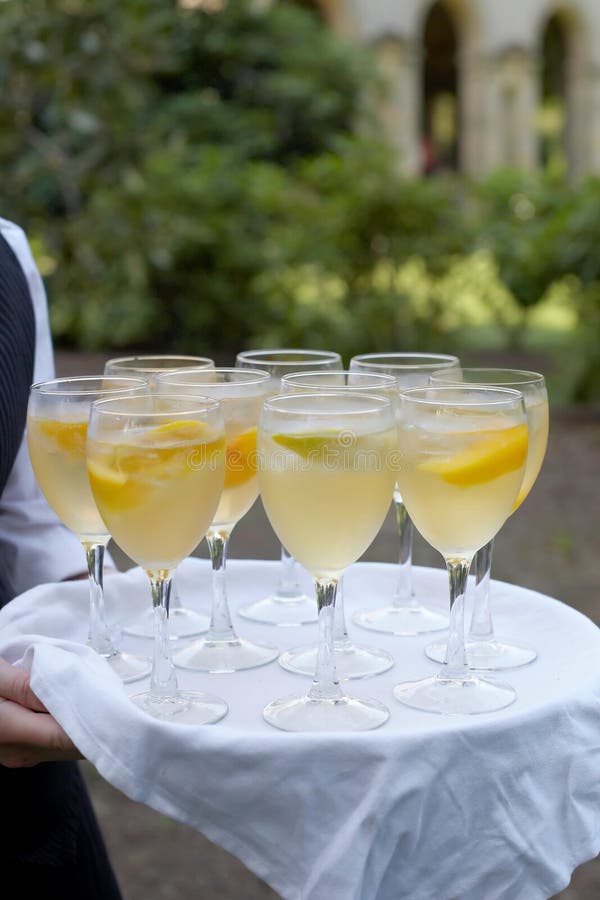 Cocktail hour stock image. Image of cocktail, champagne - 5862053
