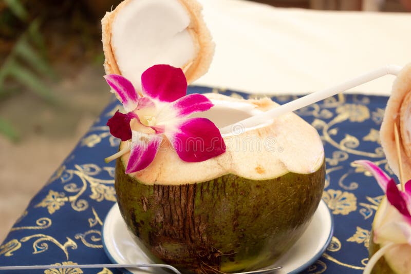 Cocktail of Pina Colada in Coconut Stock Photo - Image of fresh, froth ...