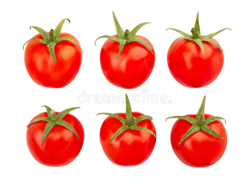 Cocktail tomato stock image. Image of studio, cocktail - 151428399
