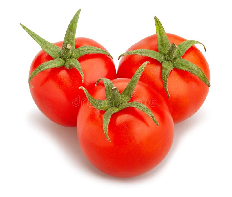 Cocktail tomato stock image. Image of isolated, healthy - 151429243