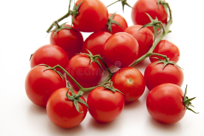 Cocktail tomatoes stock photo. Image of agriculture, tomatoes - 20901230
