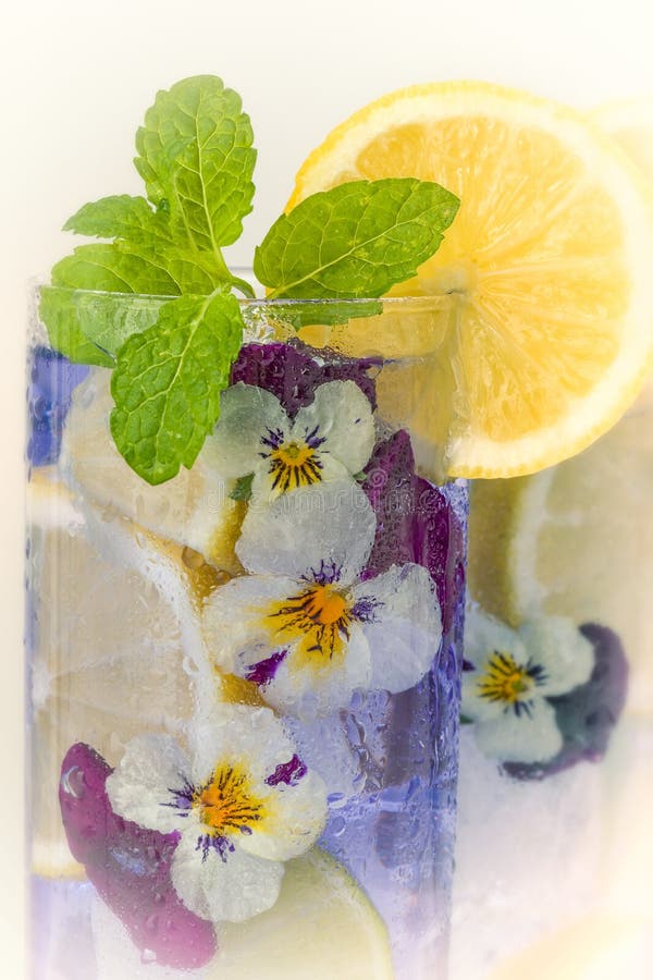 Cocktail Viola Con I Fiori Commestibili Immagine Stock - Immagine di ...