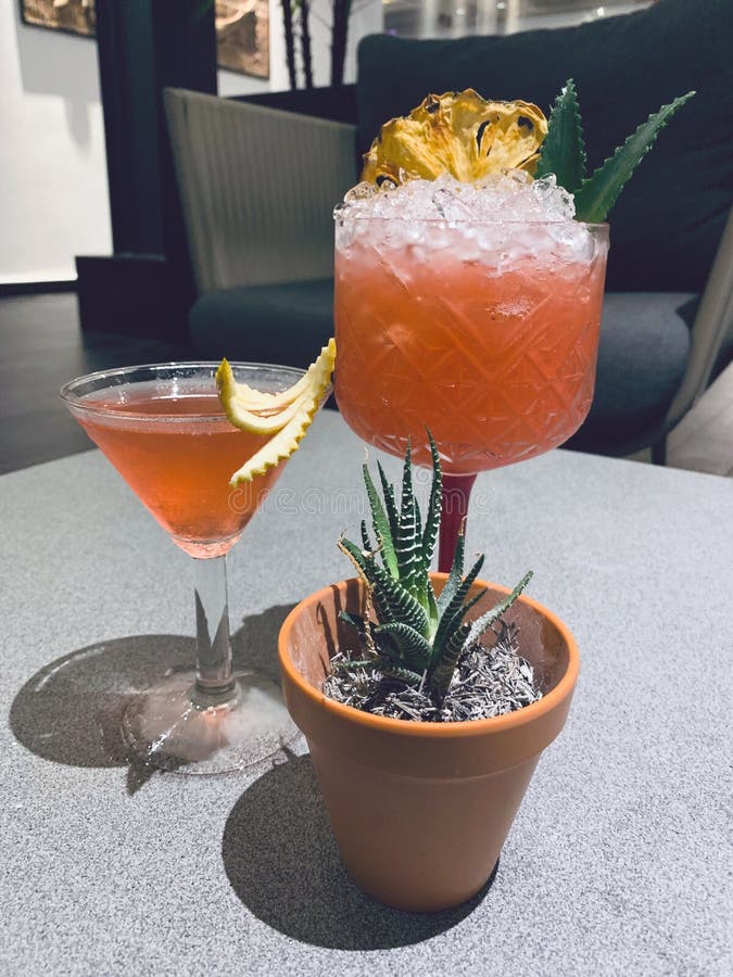 Cocktails on a Table with Plant Stock Photo - Image of ripe, plant ...