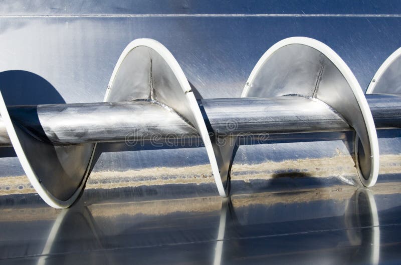 Coclea dell'uva immagine stock. Immagine di commercio - 2033487