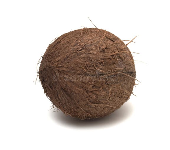 Coco foto de archivo. Imagen de horizontal, coma, imagen - 13091758