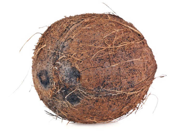 Coco imagen de archivo. Imagen de bebida, detalles, fresco - 22722147