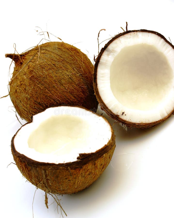 Coconut Composition Leaves Isolated on White Background Stock Image ...