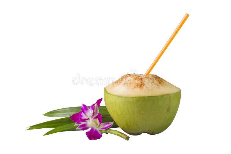 Coco Aislado Encendido Con El Fondo Limpio Imagen de archivo - Imagen ...