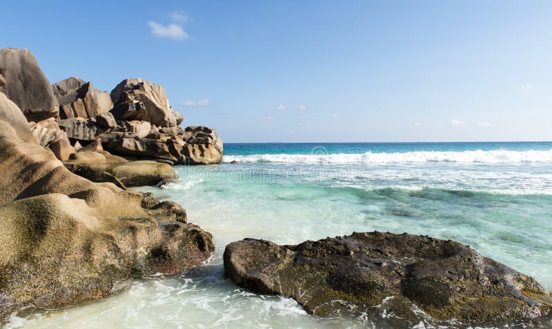 Coco beach in seychelles stock photo. Image of rock, leaf - 28972294