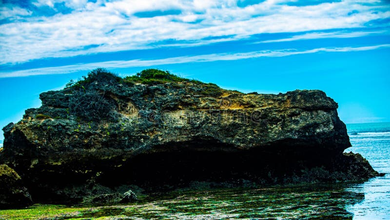 Coco beach tanzania stock image. Image of tanzania, rashi - 260606493