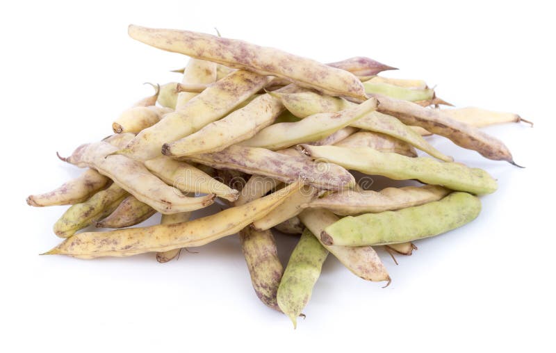 Coco beans stock image. Image of coco, agriculture, vegetable - 67269655