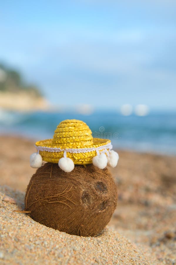 Coco Con El Sombrero En La Playa Imagen de archivo - Imagen de ...