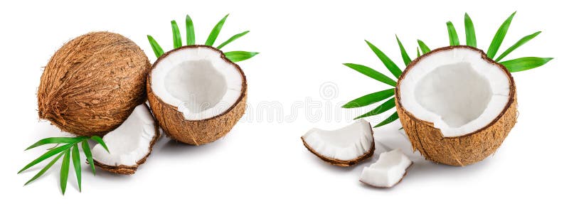 Coco Con Hojas Aisladas En Fondo Blanco Imagen de archivo - Imagen de ...